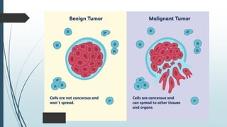 Cancer Biology: Tumor Formation, Molecular mechanism | PPT