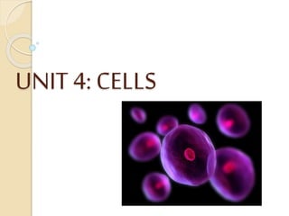 Unit4: Cells | PPTX
