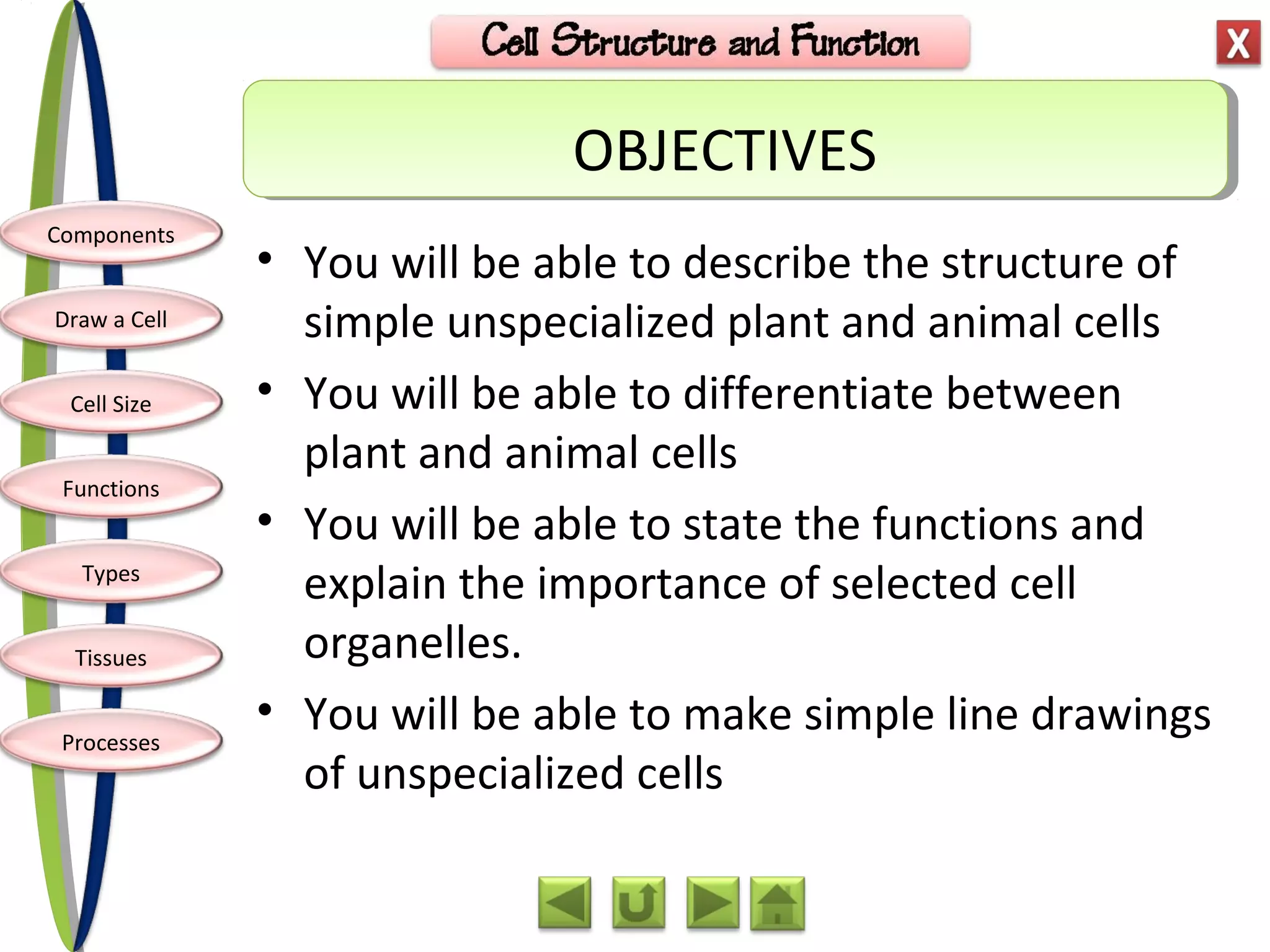 Biology M1 Cell Structure and Function | PPT