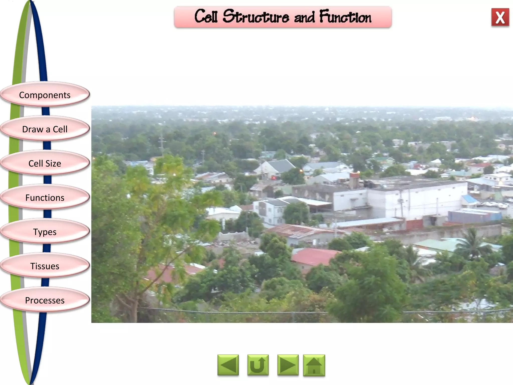 Biology M1 Cell Structure and Function | PPT