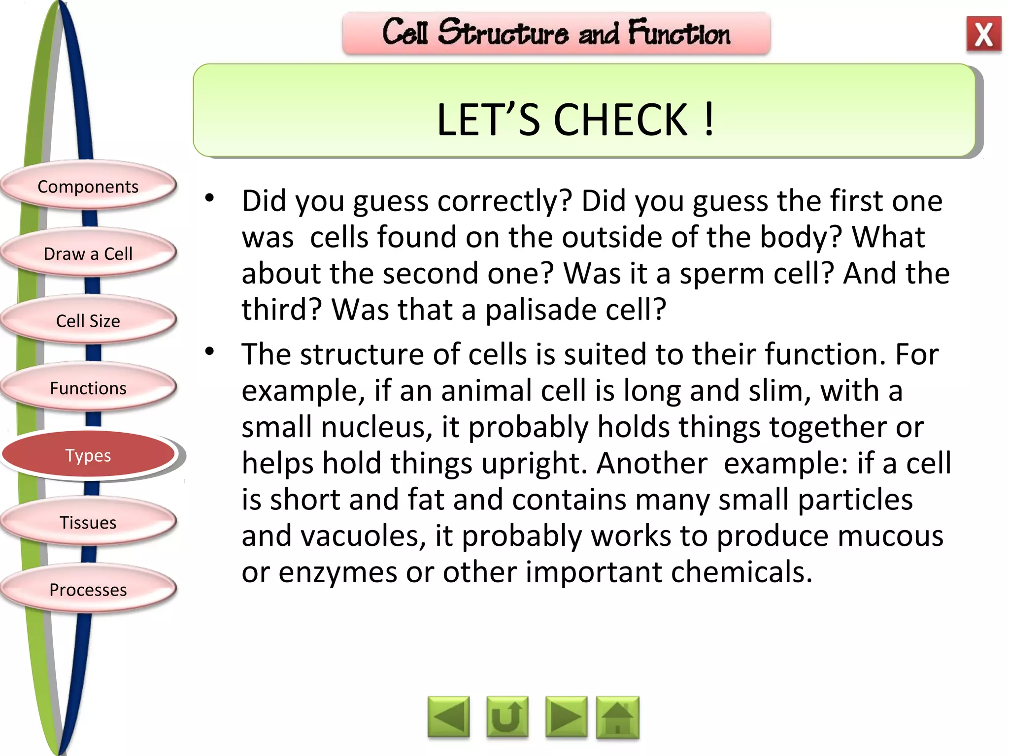 Biology M1 Cell Structure and Function | PPT