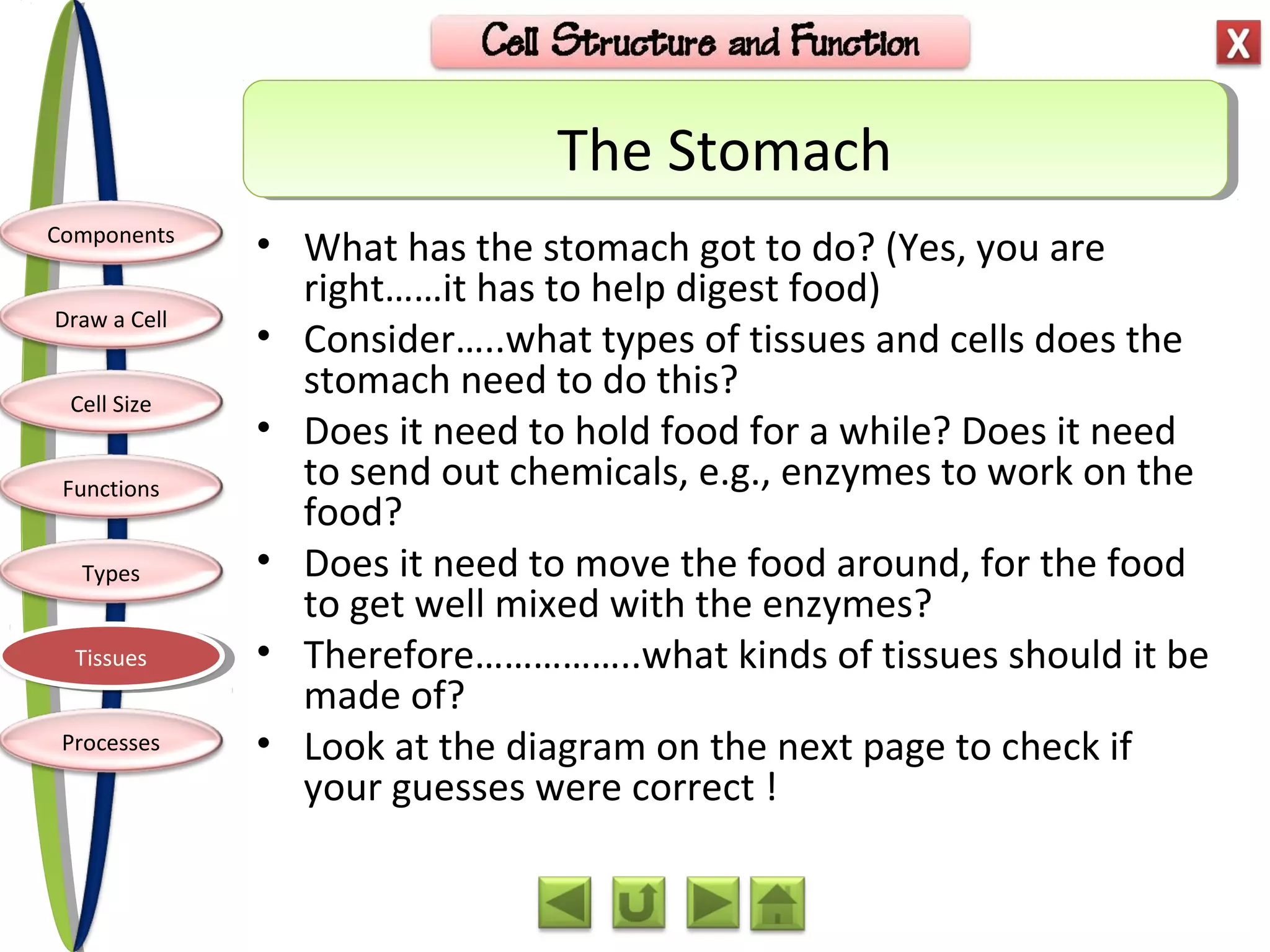 Biology M1 Cell Structure and Function | PPT