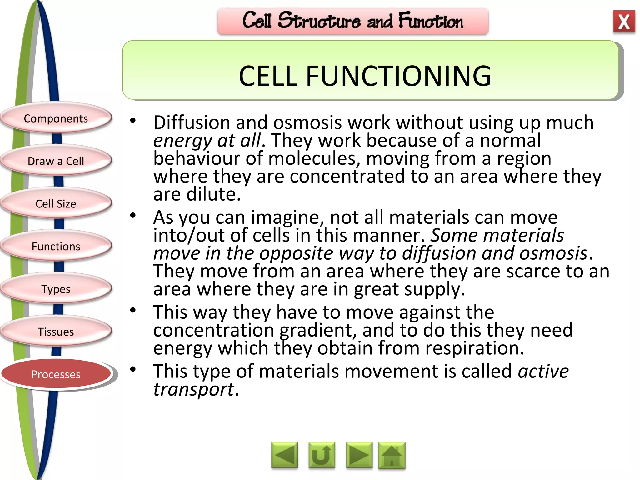 Biology M1 Cell Structure and Function | PPT