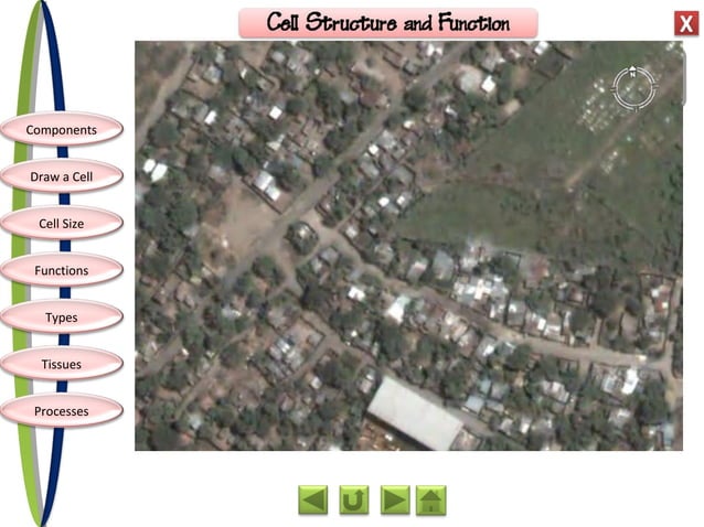 Biology M1 Cell Structure and Function | PPT | Biological Sciences ...