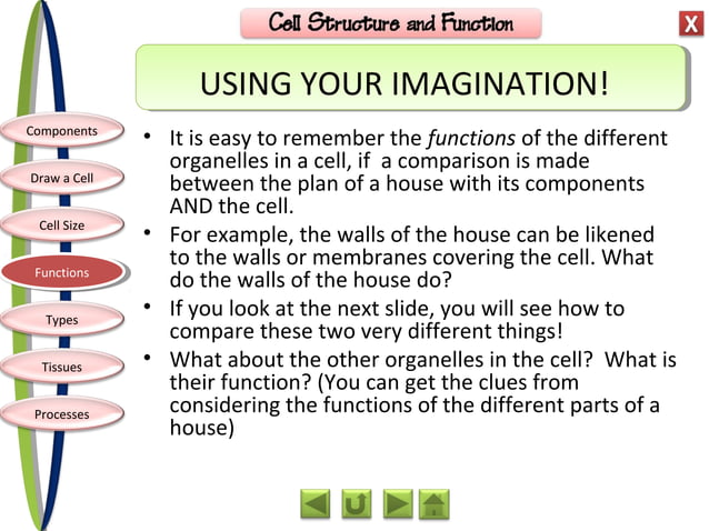 Biology M1 Cell Structure and Function | PPT | Biological Sciences ...