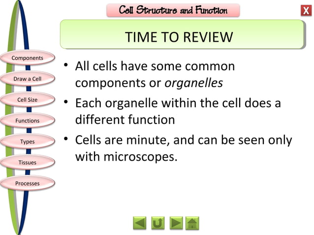 Biology M1 Cell Structure and Function | PPT | Biological Sciences ...