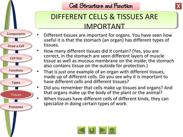 Biology M1 Cell Structure and Function | PPT | Biological Sciences ...