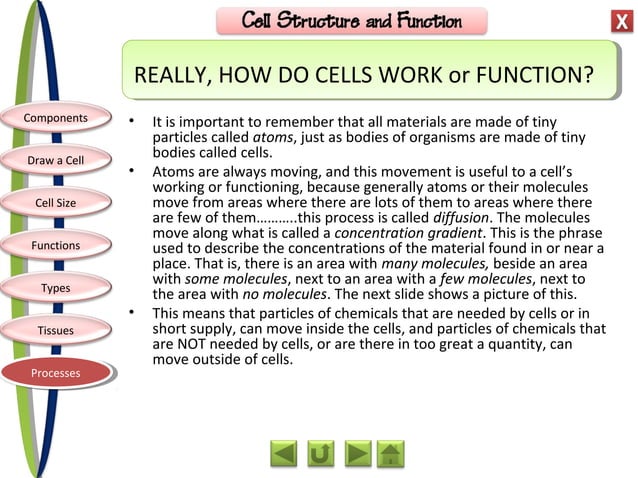 Biology M1 Cell Structure and Function | PPT | Biological Sciences ...