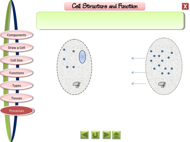 Biology M1 Cell Structure and Function | PPT | Biological Sciences ...