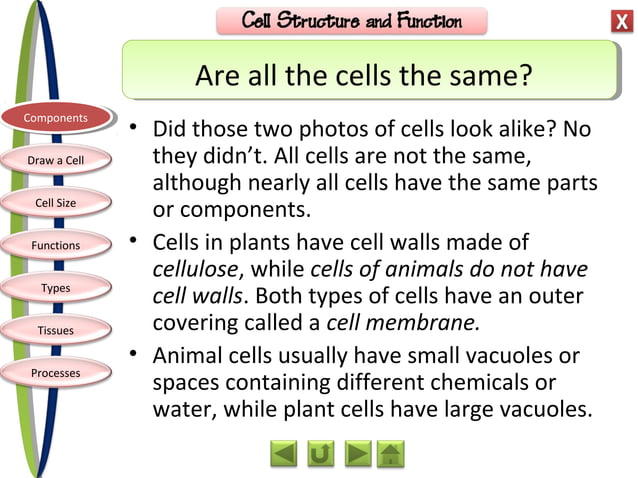Biology M1 Cell Structure and Function | PPT | Biological Sciences ...