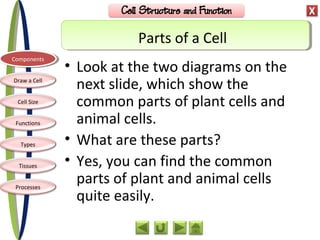 Biology M1 Cell Structure and Function | PPT