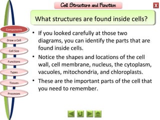 Biology M1 Cell Structure and Function | PPT