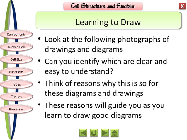 Biology M1 Cell Structure and Function | PPT | Biological Sciences ...