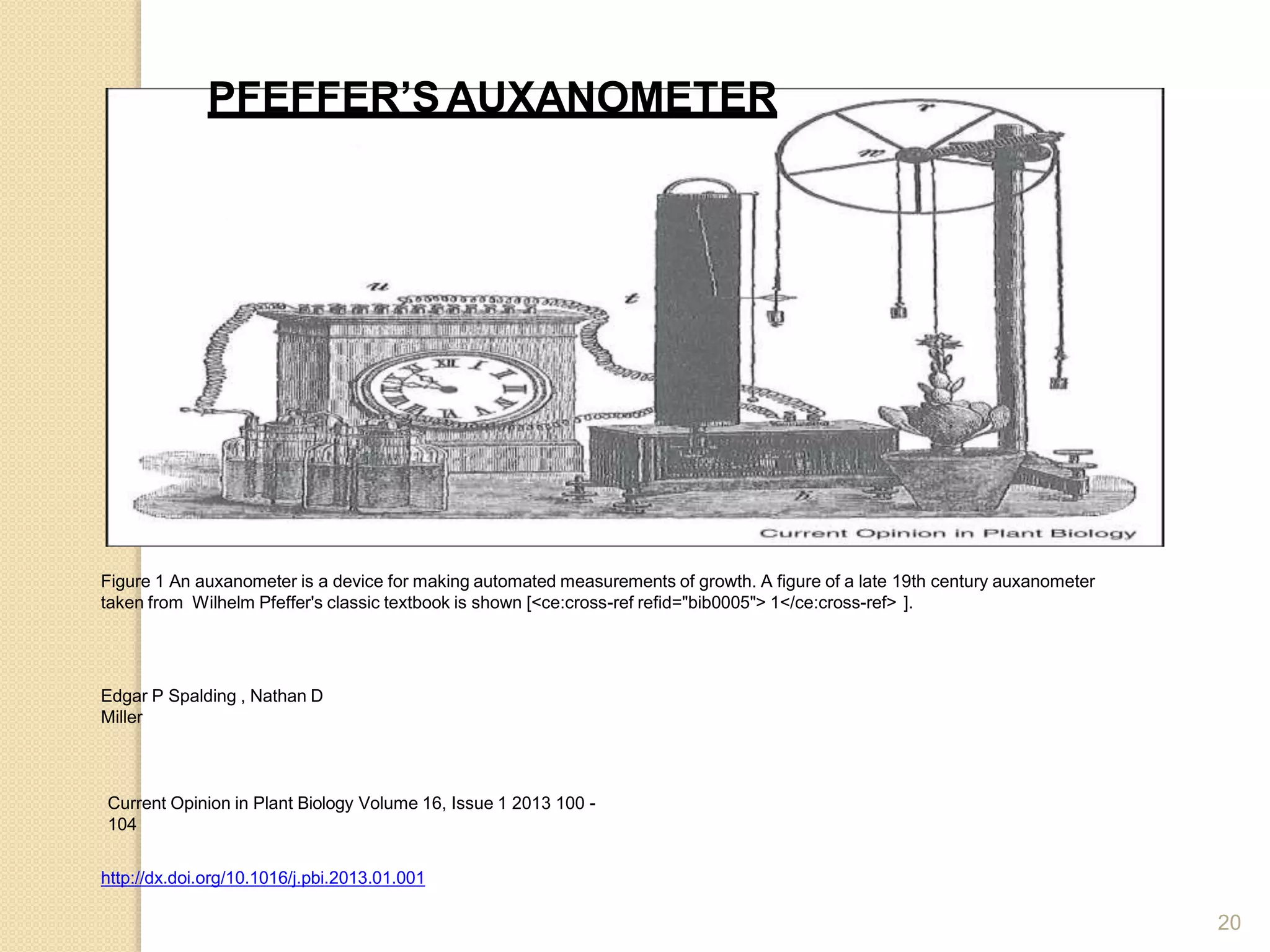 PLANT GROWTH AND DEVELOPMENT 2022 | PPTX