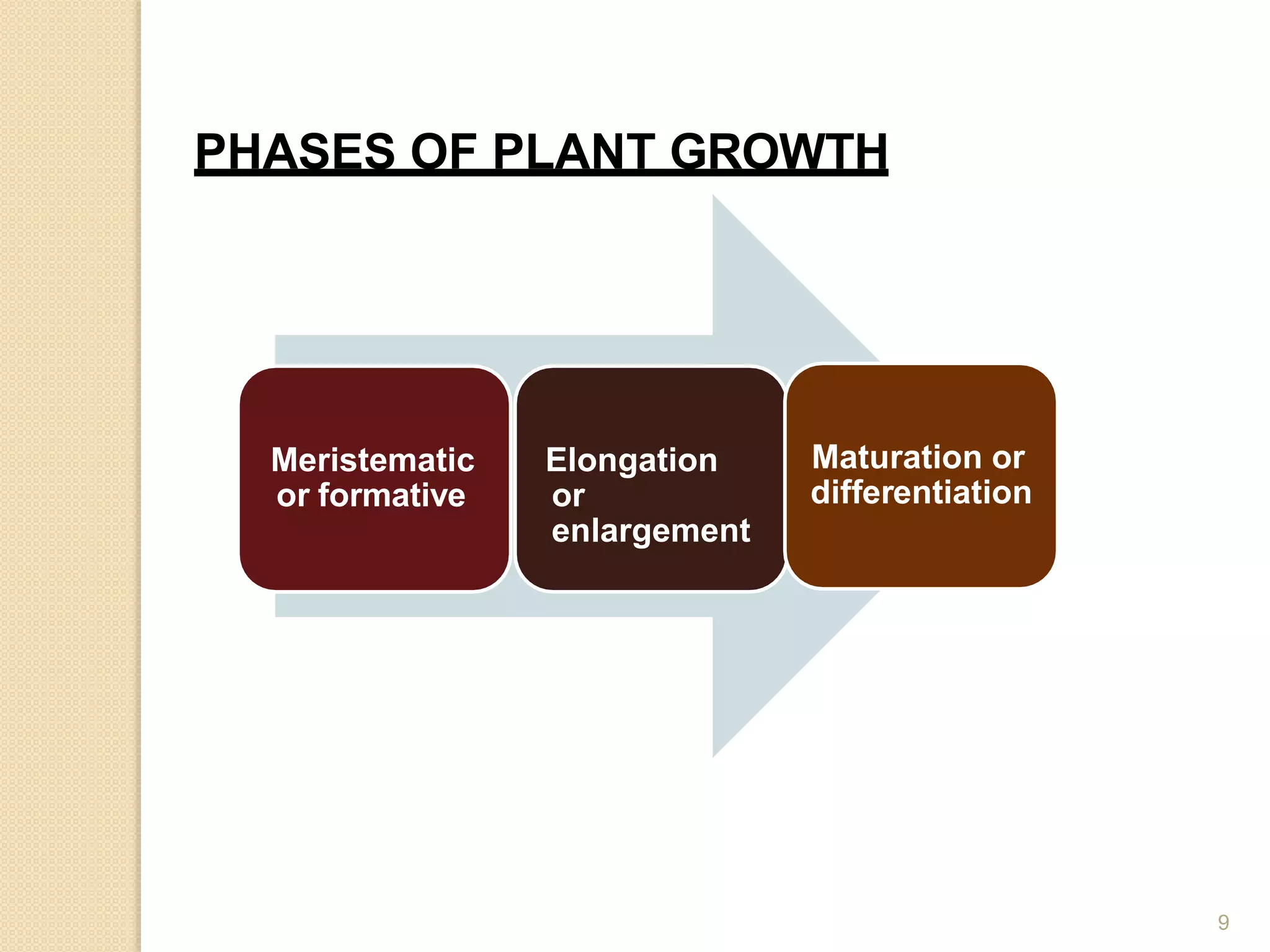 PLANT GROWTH AND DEVELOPMENT 2022 | PPTX