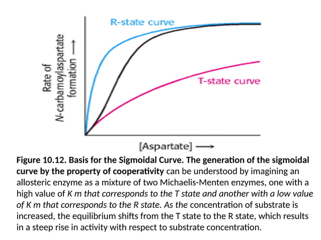 unit 4 class 2 Sigmoidal kinetics ATCase.pptx