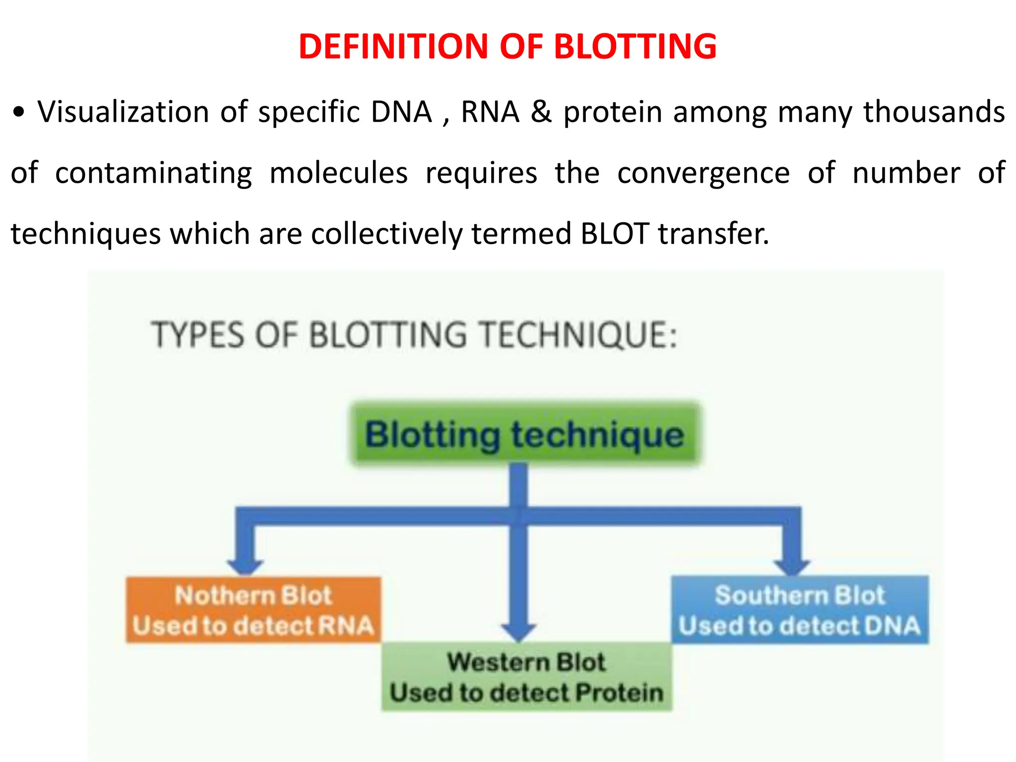 unit 4 immunoblotting technique complete.pptx