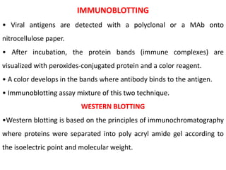 unit 4 immunoblotting technique complete.pptx