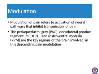 concept of pain (different therapies).pl