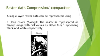 Unit 4 Data Editing.pptx