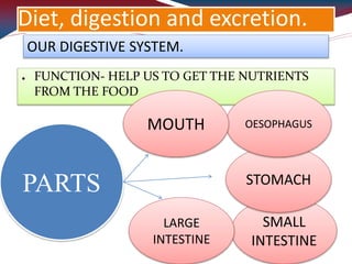 Unit 4 disestion and excretion | PPTX