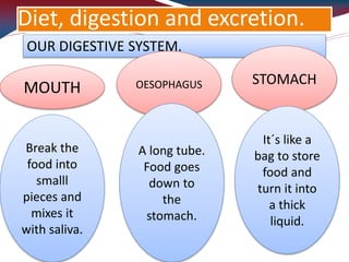 Unit 4 disestion and excretion | PPTX