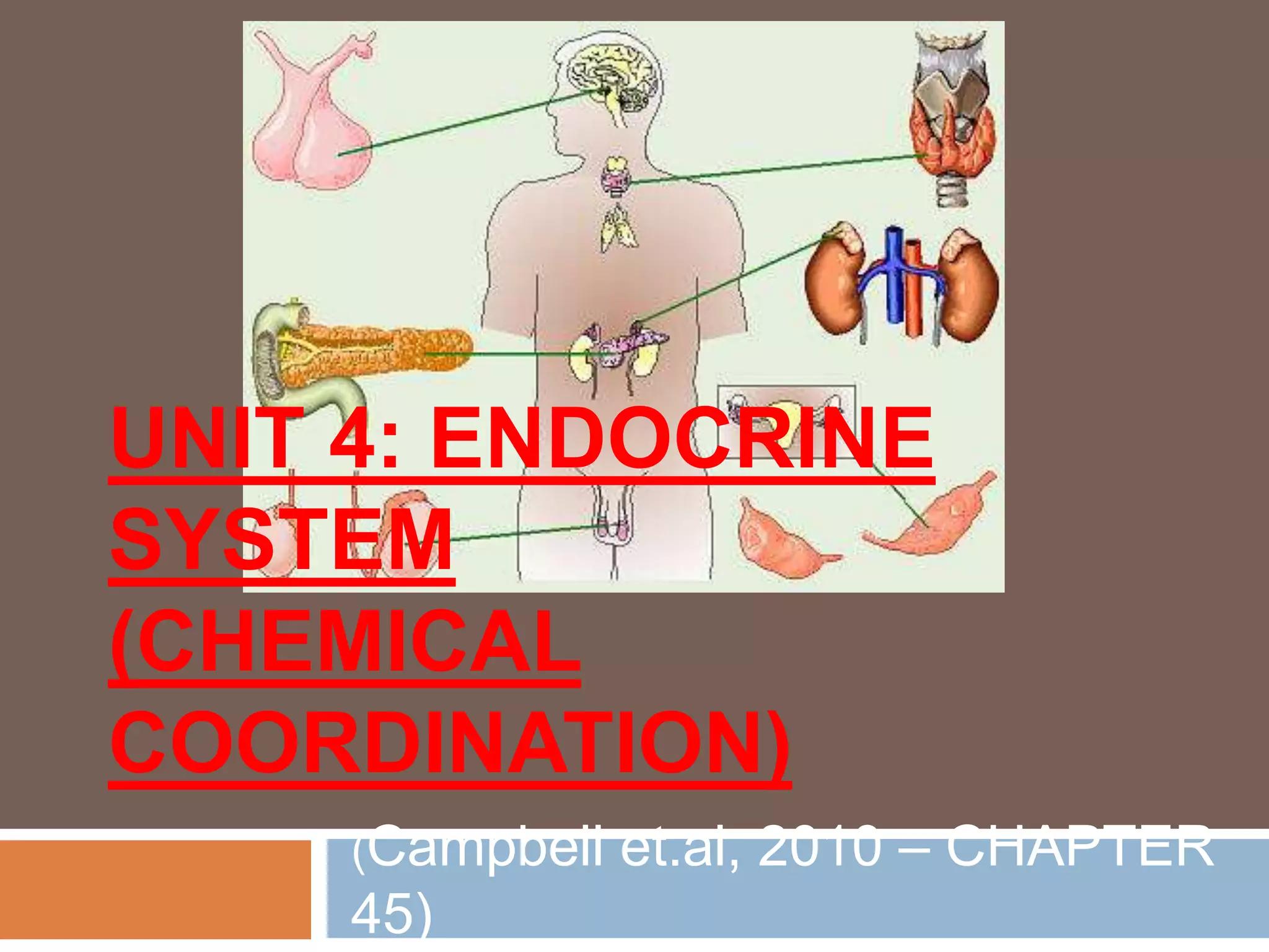 Unit 4 endocrine system(1) | PPTX