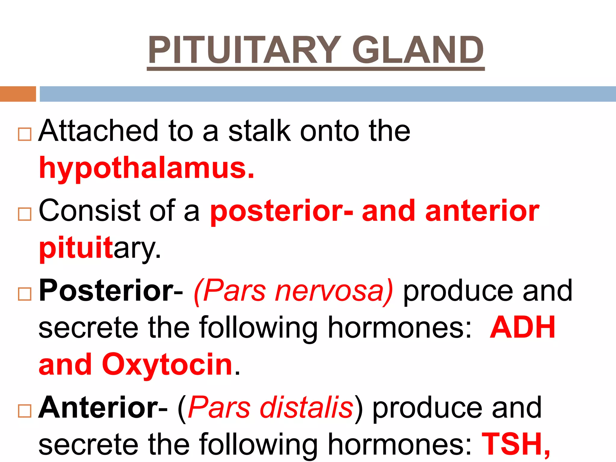 Unit 4 endocrine system(1) | PPTX