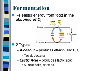 Unit 4 energy | PPT