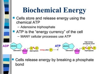 Unit 4 energy | PPT | Chemistry | Science