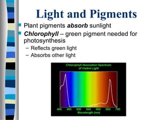 Unit 4 energy | PPT