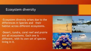 Unit 4 EVS - Biodiversity and Conservation | PDF