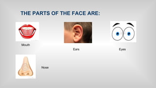 Unit 4 face | PPT