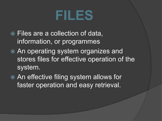 Unit 4 file and data management | PPSX