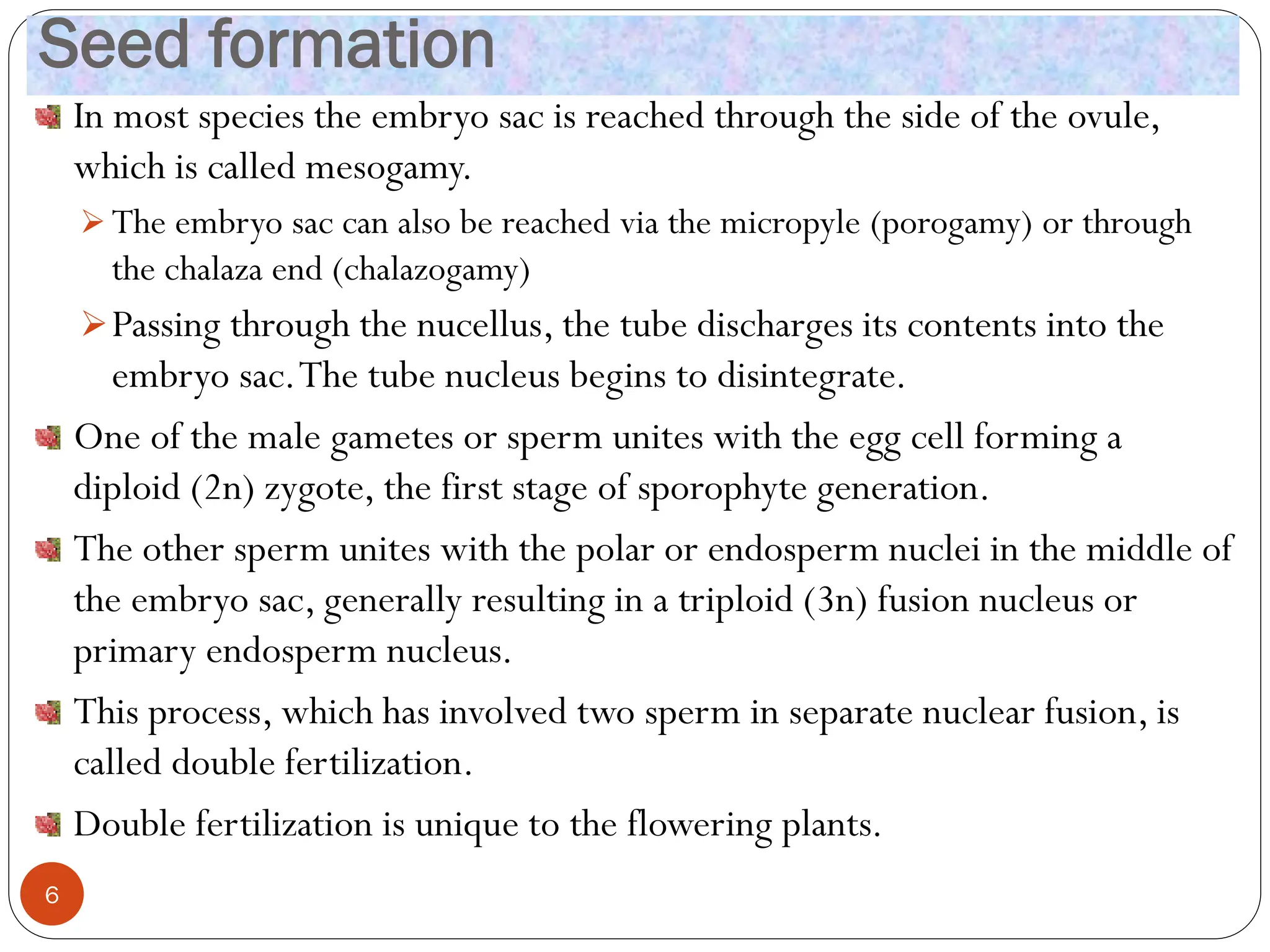 Unit 4 Fruits and Seeds.pdf flowering and non | PDF