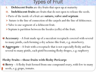 Unit 4 Fruits and Seeds.pdf flowering and non | PDF