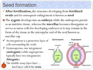 Unit 4 Fruits and Seeds.pdf flowering and non | PDF