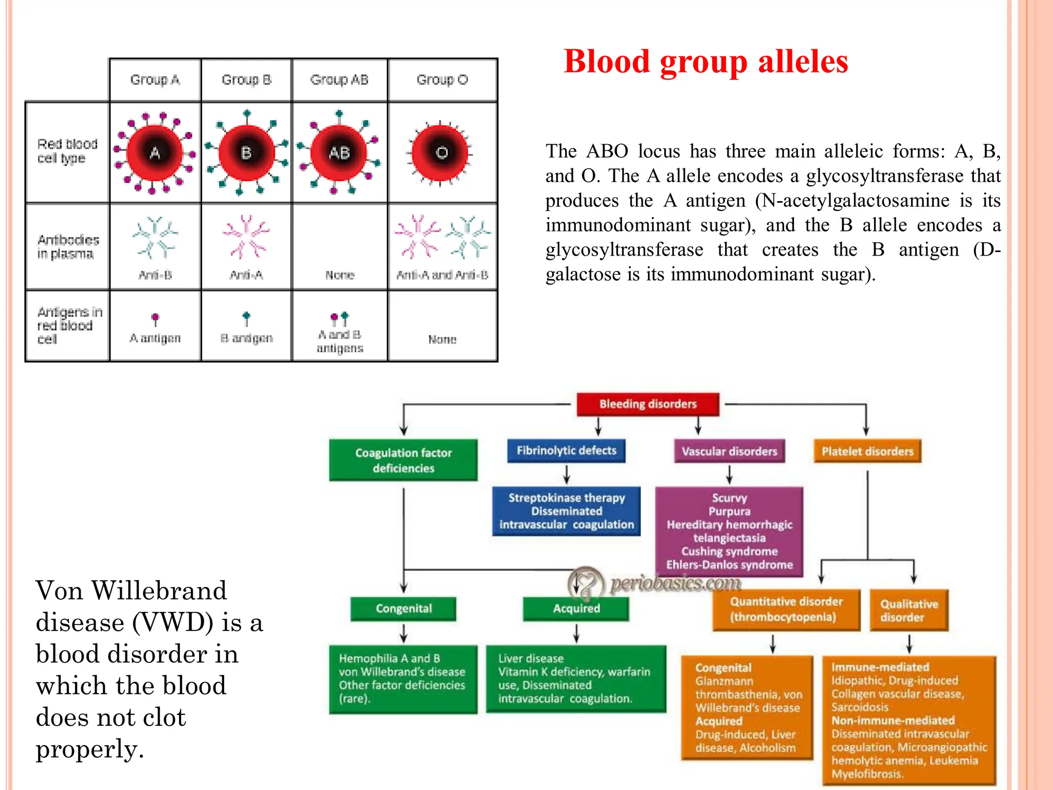 UNIT 4 GENETIC CONDITIONS OF ADULTS AND ADOLOSCENTS.pdf