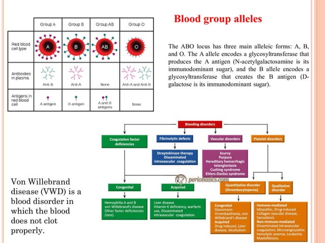 UNIT 4 GENETIC CONDITIONS OF ADULTS AND ADOLOSCENTS.pdf | Brain and Nervous System Disorders ...