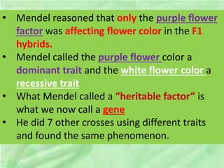 genetics and inheritance, in plants and animals | PPT