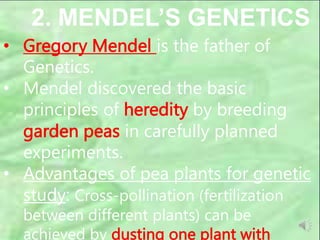 UNIT 4 GENETICS AND INHERITANCE (2).pptx
