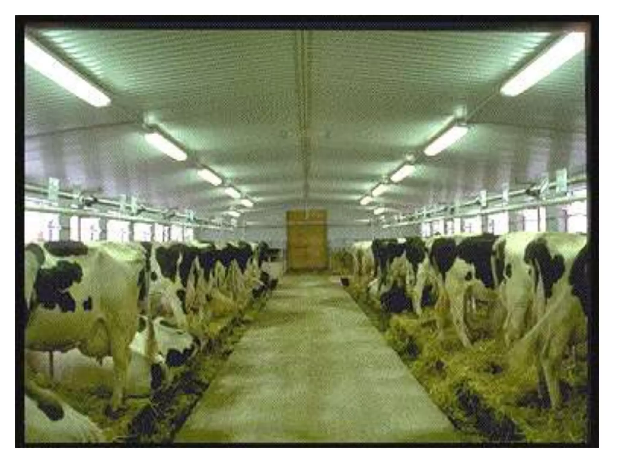 Unit 4 Housing systems of Livestock and Poultry.pptx