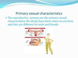 Unit 4 human reproduction alberto and diego s | PPT