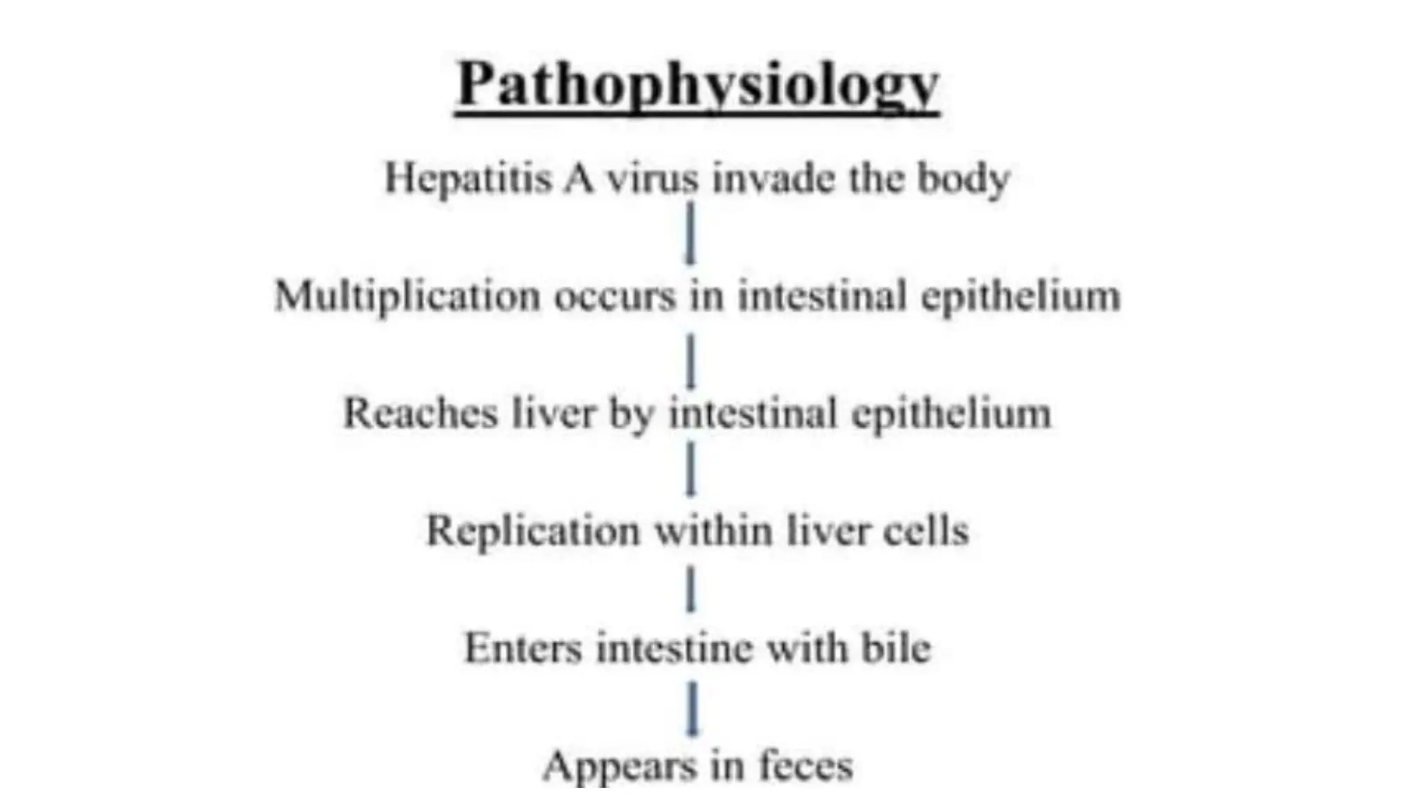 unit4 IBD PPT BKG.pptx Pathophysiology B.pharma 2nd sem | PPTX