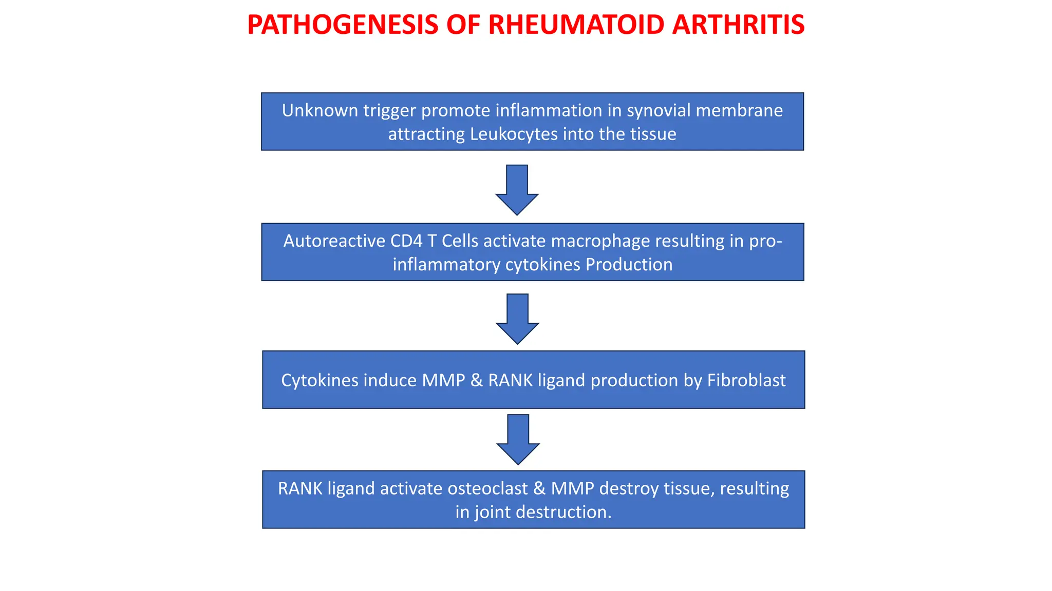 unit4 IBD PPT BKG.pptx Pathophysiology B.pharma 2nd sem | PPTX