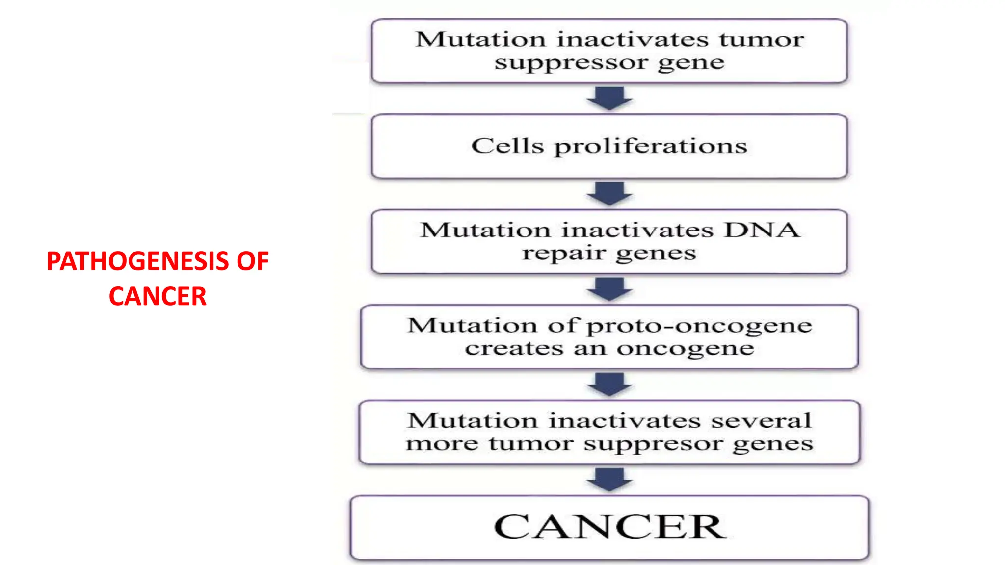 unit4 IBD PPT BKG.pptx Pathophysiology B.pharma 2nd sem | PPTX