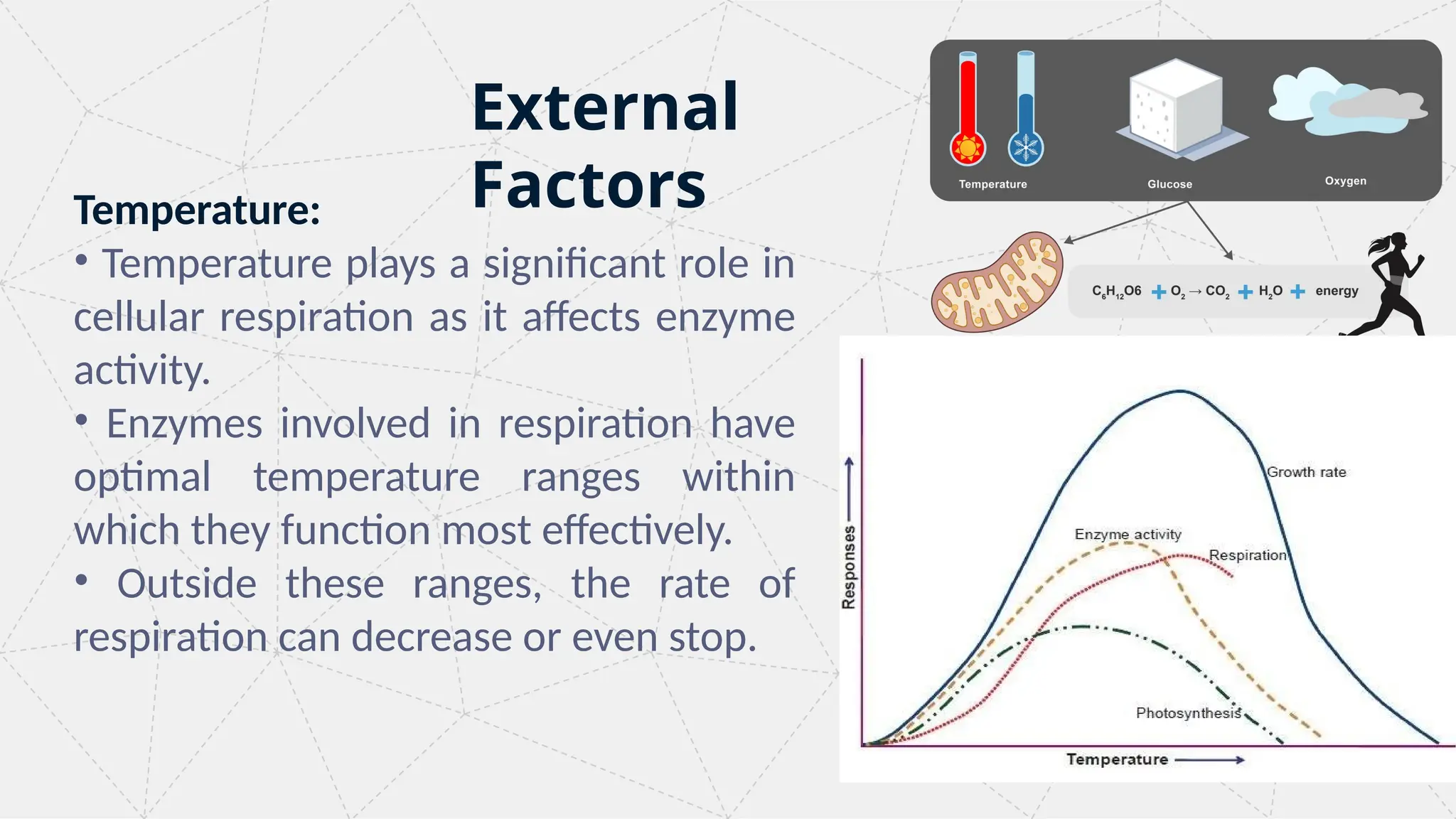 Unit4_Lecture23_Factors affecting the cellular respiration.pptx