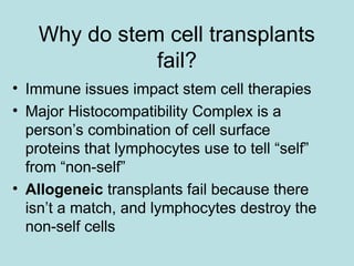 Stem cell and the immune system-Body system | PPT
