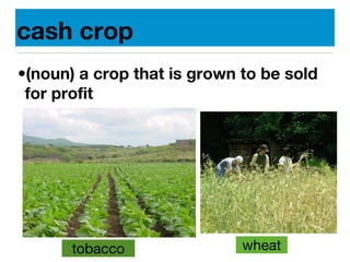 Unit 4, Lesson 1.ppt