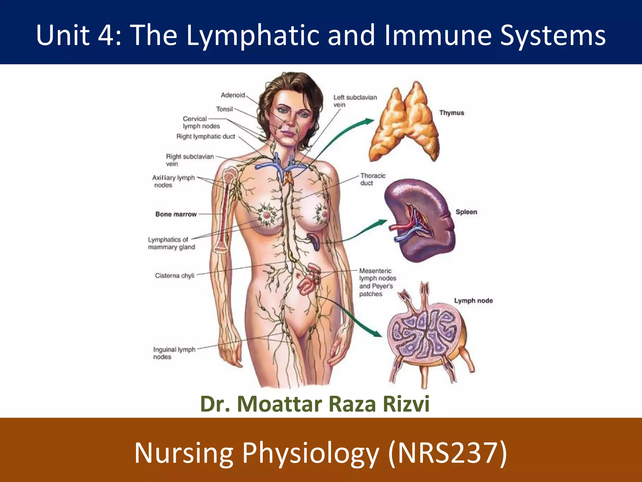Unit 4 lymphatic system nrs 237 | PPT